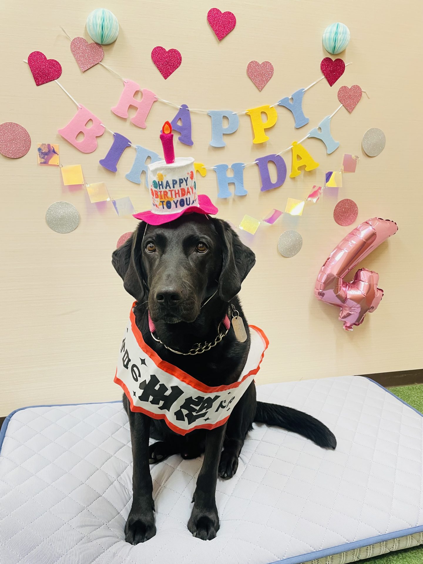 IMG_E3425 ｜ 花ノ木の郷